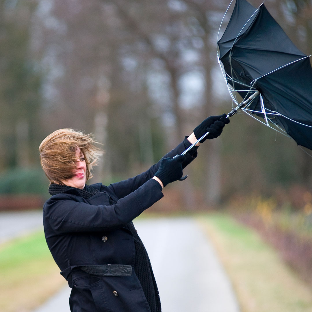 Tout sur les vents violents et l'assurance - Infoassurance.ca
